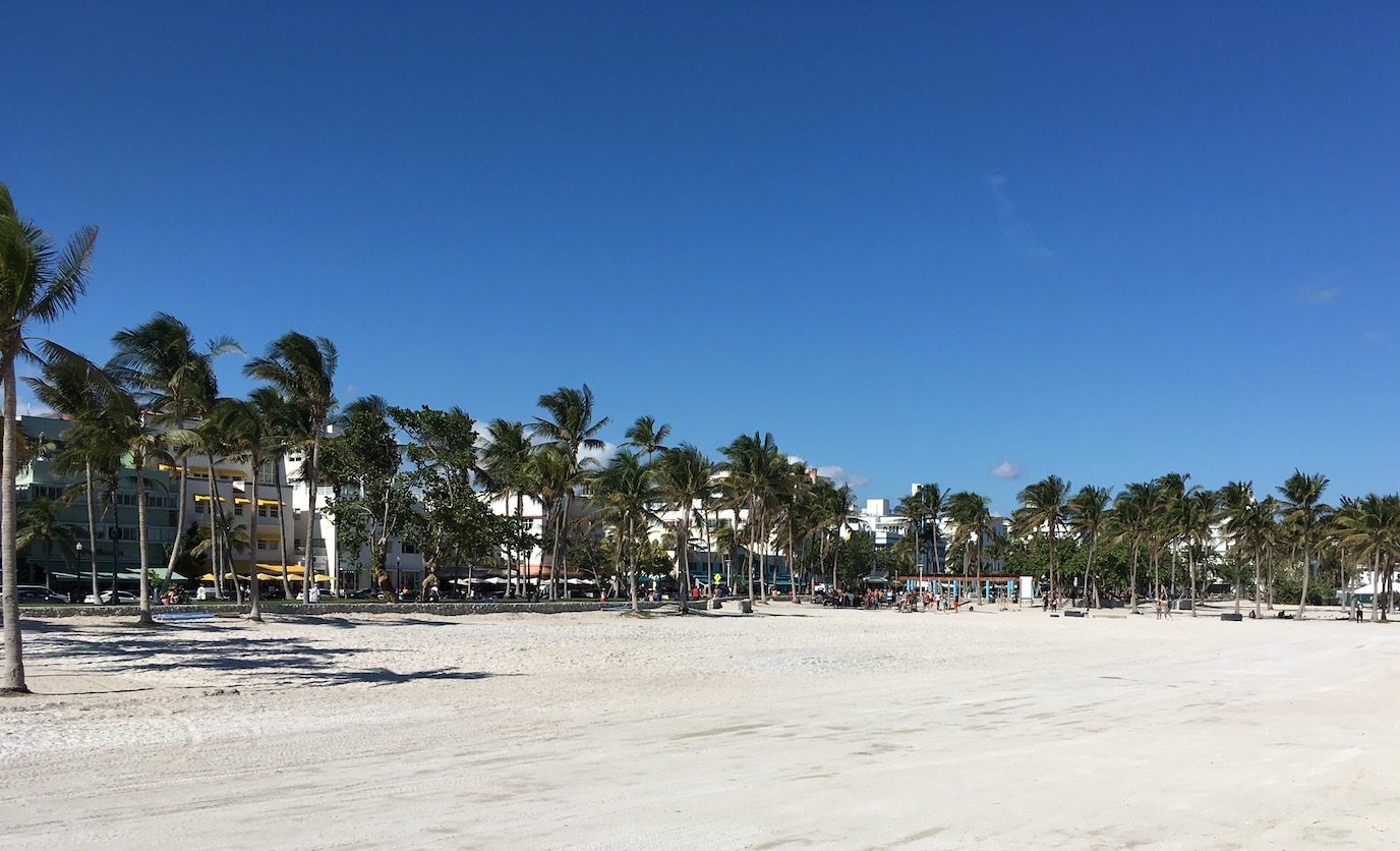 Experience the Best of Miami: A Guide to The City